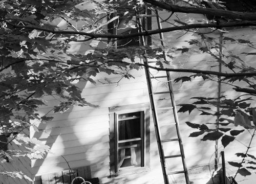 Exhibitions – Hotshoe Magazine